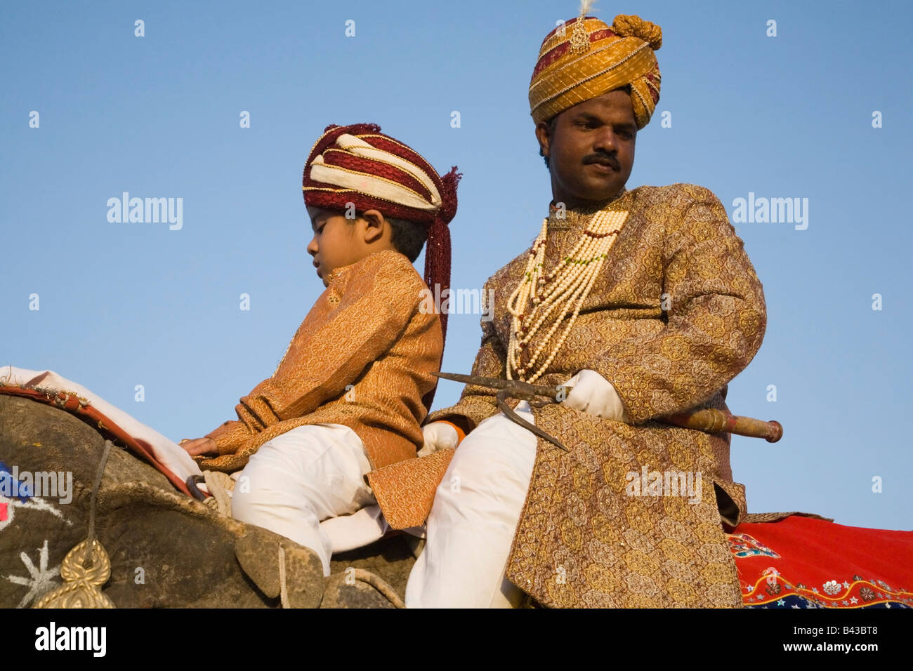 Decorated elephant hi-res stock photography and images - Alamy