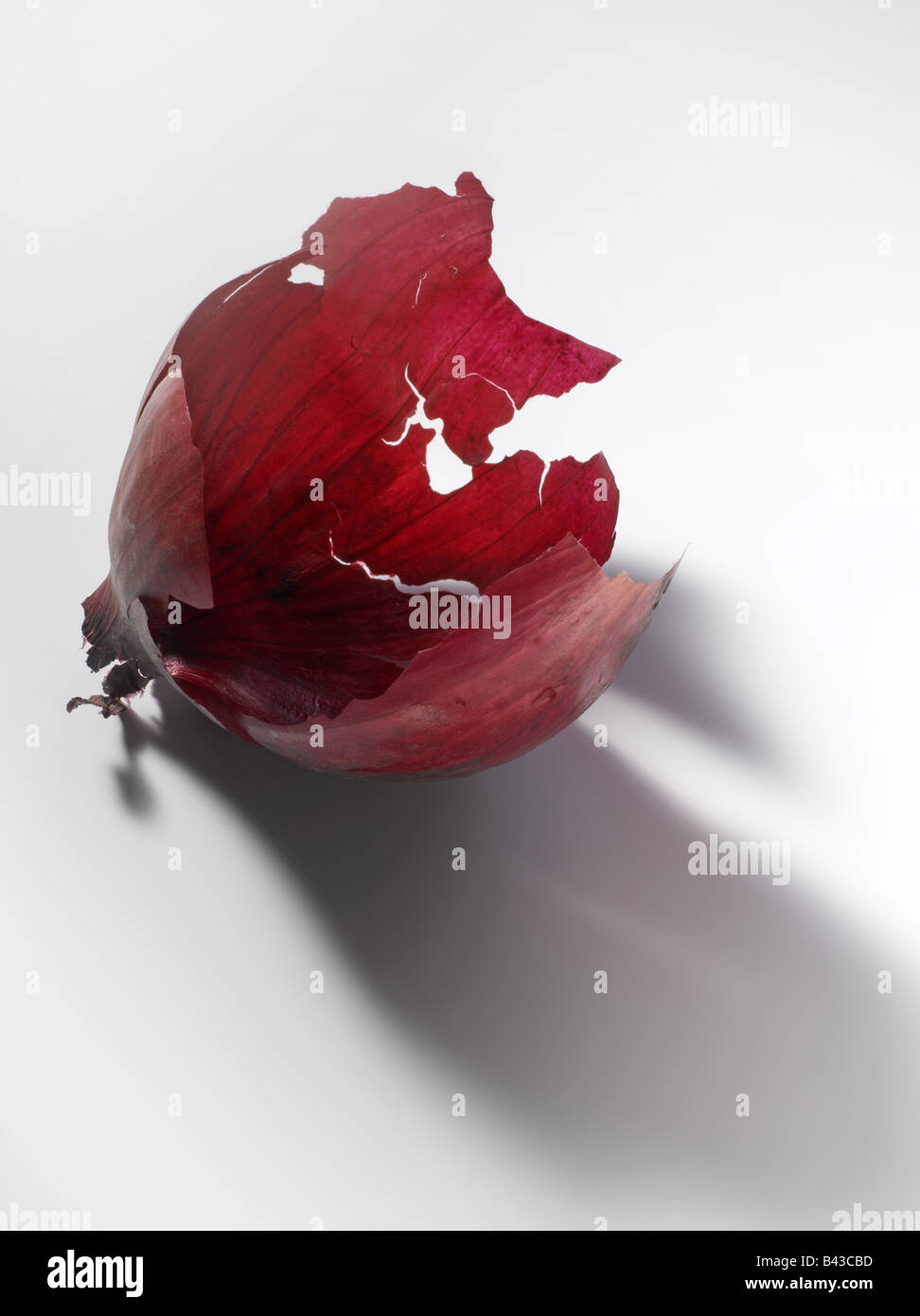 Red onion peel Stock Photo - Alamy