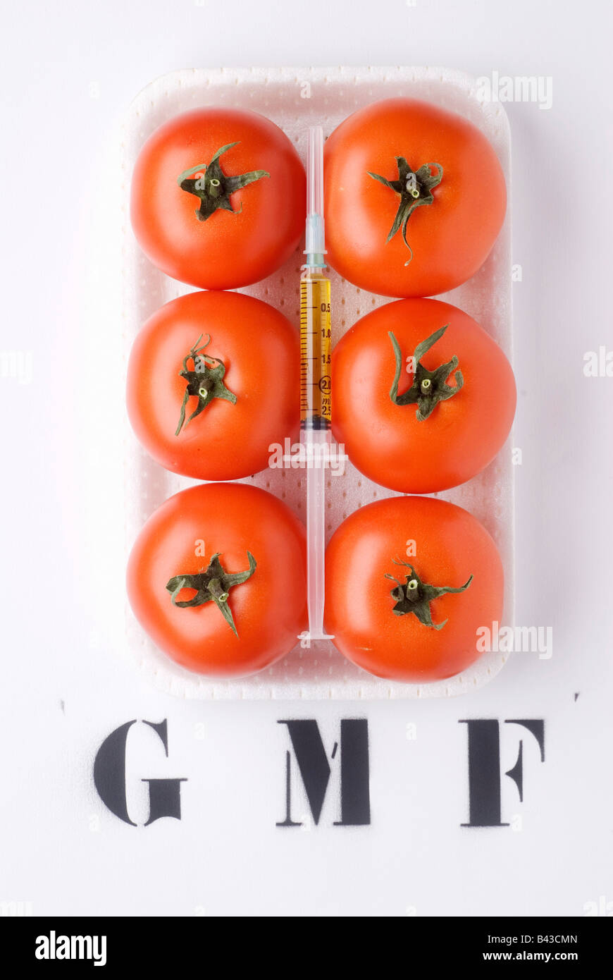 Transgenic tomatoes hi-res stock photography and images - Alamy