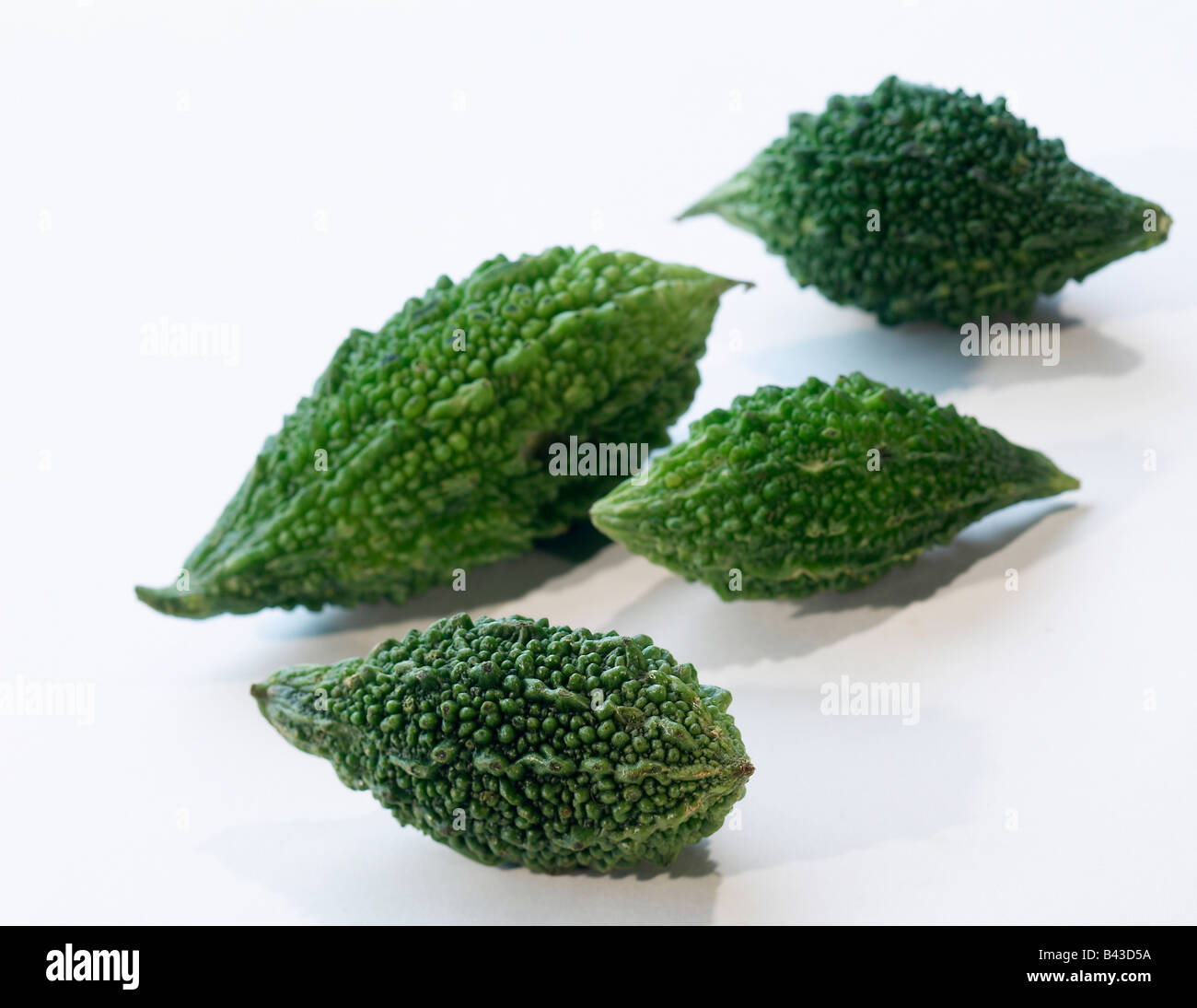 Bitter cucumbers hi-res stock photography and images - Alamy