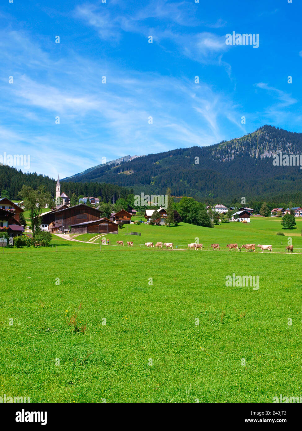 Gosau hi-res stock photography and images - Alamy