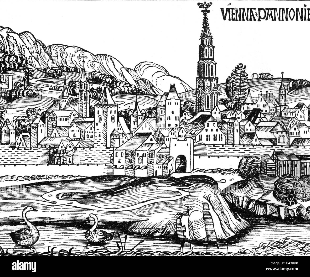 Medieval vienna woodcut hi-res stock photography and images - Alamy