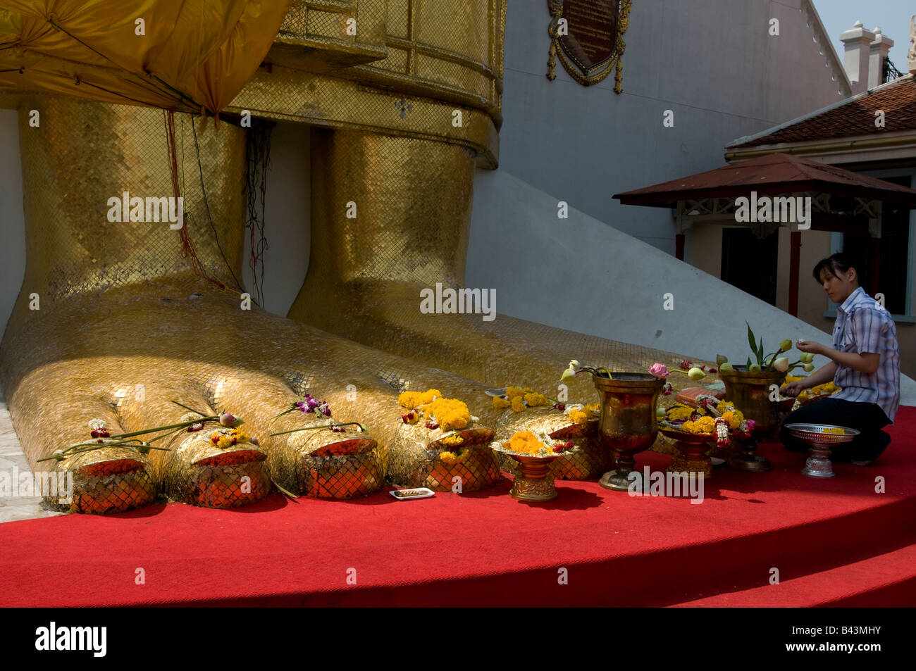 A young Thai woman offering lotus flowers at the feet of the 32 metre ...
