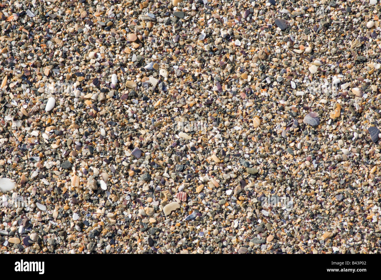 Fine shingle and broken shell Stock Photo - Alamy