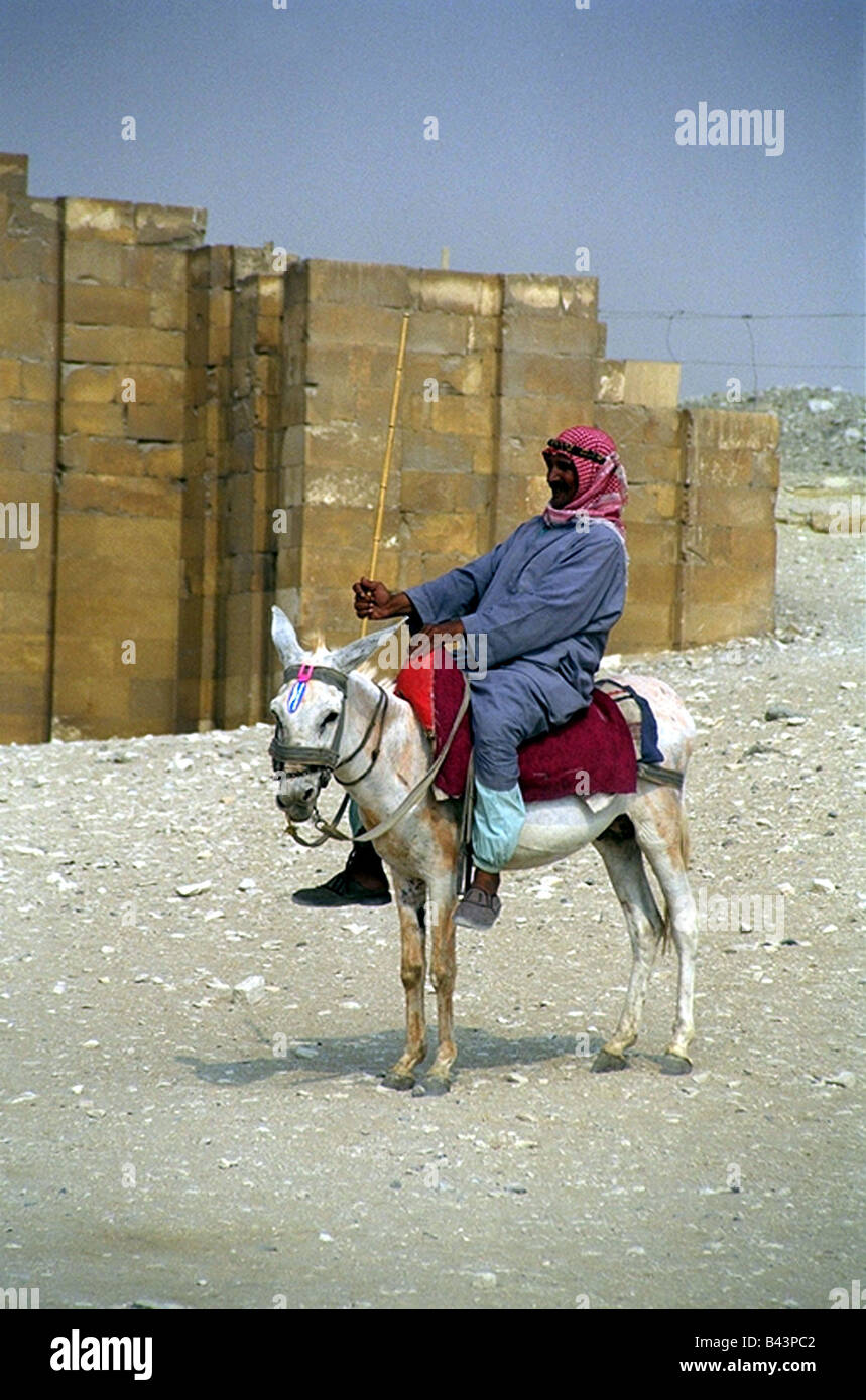 Egyptian donkeys hi-res stock photography and images - Alamy