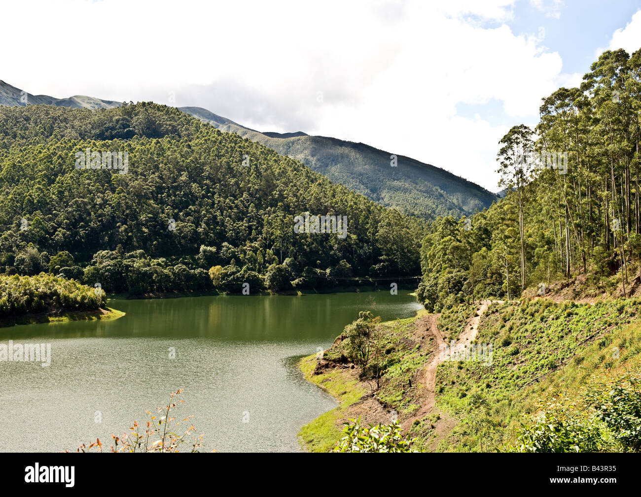 Man-made lake with lush green mountains on each side in forest reserve ...
