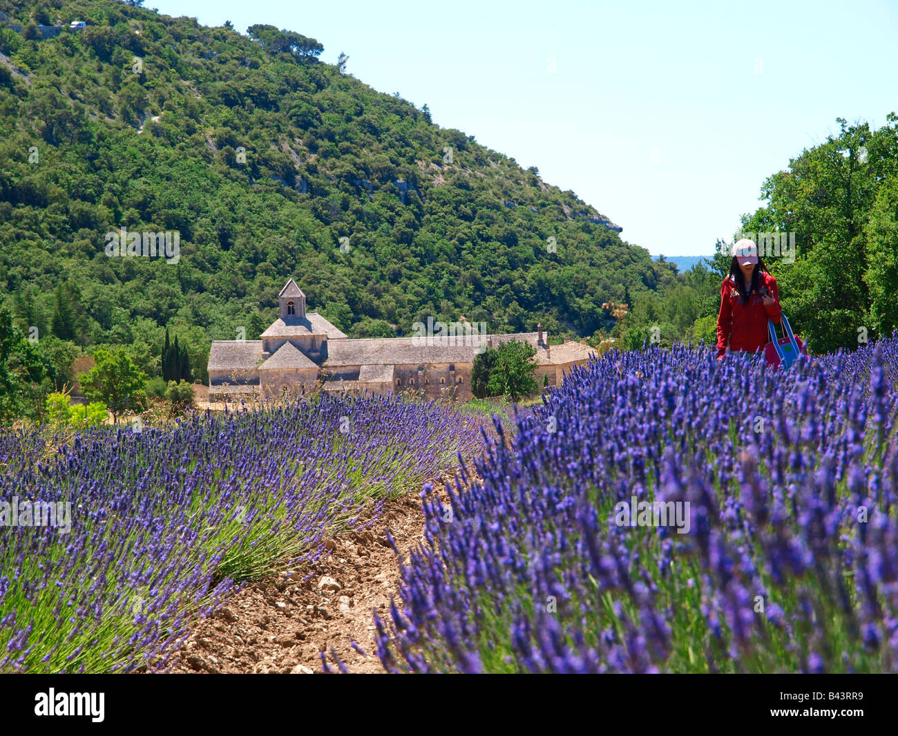 Abbaye de senanque monastery hi-res stock photography and images - Alamy
