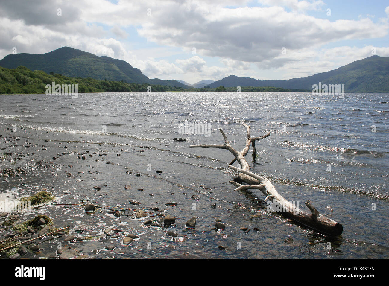 Ireland: Killarney National Park at Muckross Lake Stock Photo - Alamy