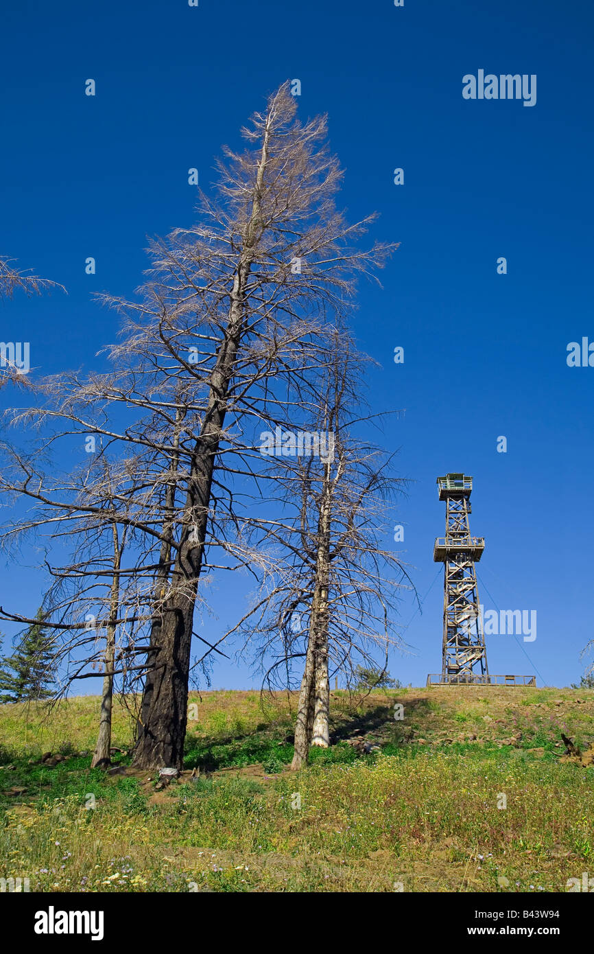 Forest fire on eastern hi-res stock photography and images - Alamy