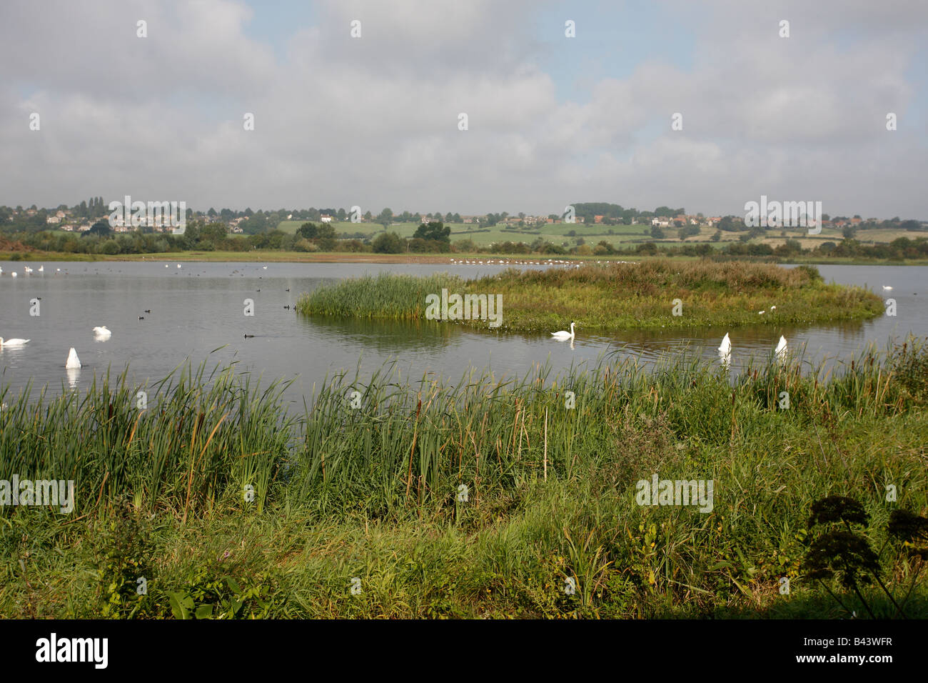 Summer Leys nature reserve Northamptonshire UK Stock Photo - Alamy