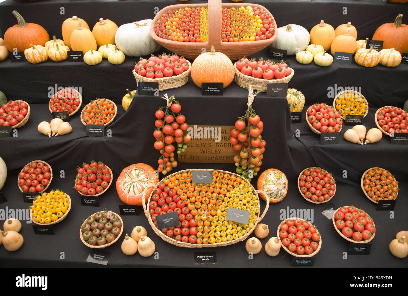award winning organic fruit and vegetables on display Stock Photo - Alamy