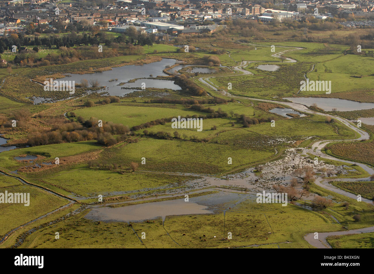 Doxey hi-res stock photography and images - Alamy