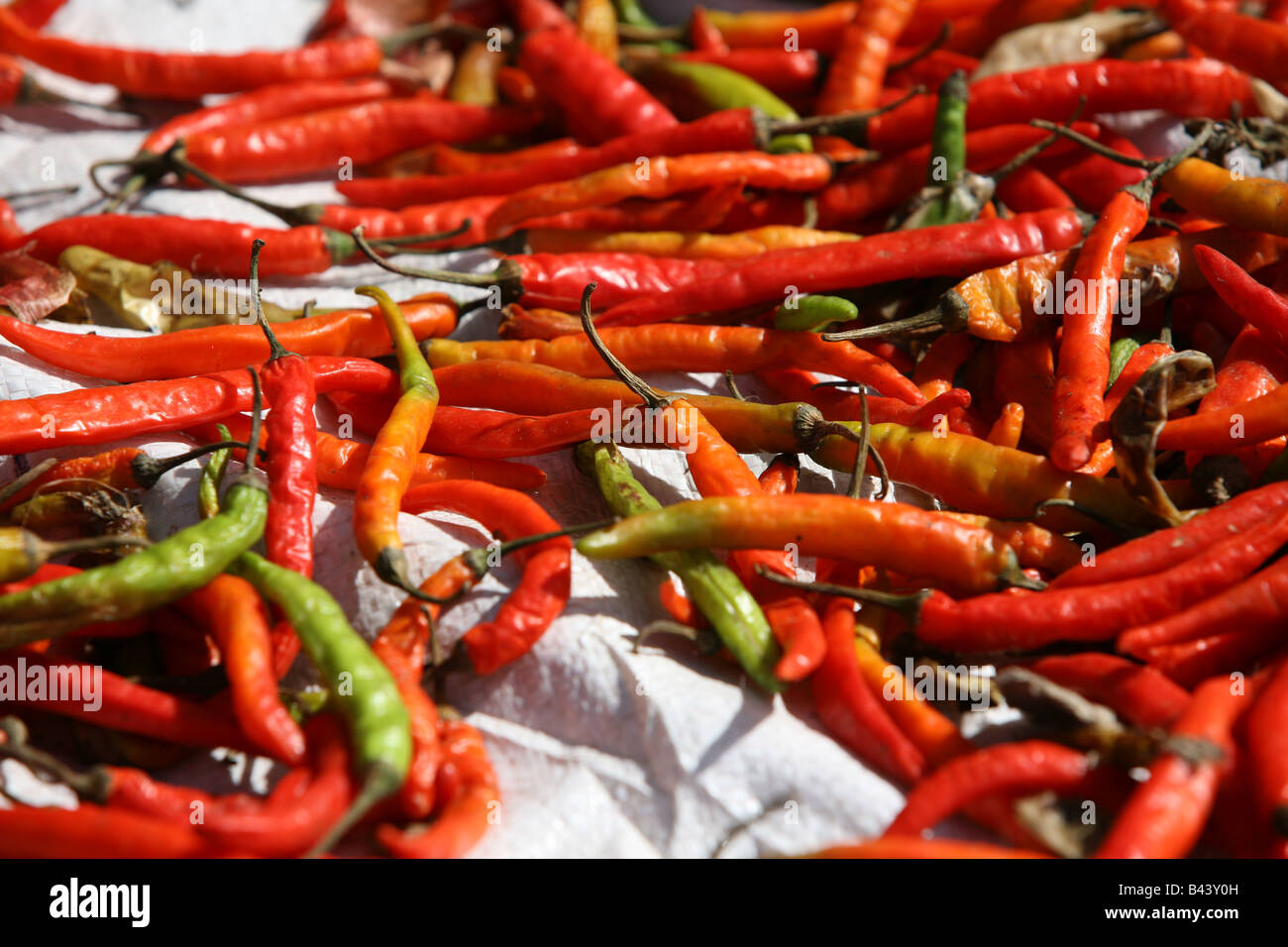 Red Hot Chilly Pepers Stock Photo - Alamy