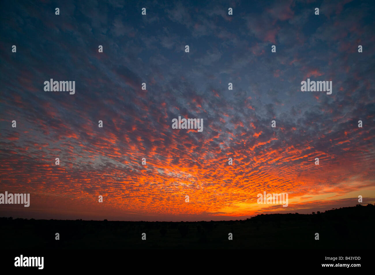 Sunset with no cloud hi-res stock photography and images - Alamy