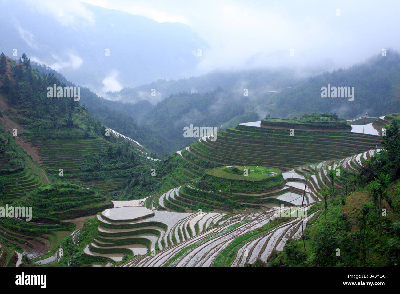 Longji Rice Terraces, China Stock Photo - Alamy