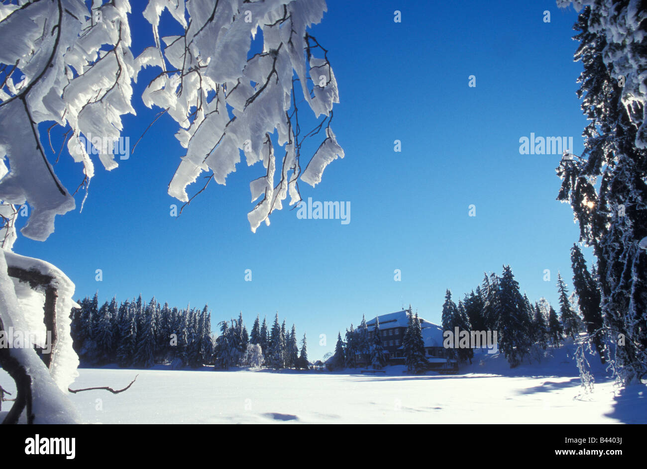 Mummelsee lake winter hi-res stock photography and images - Alamy