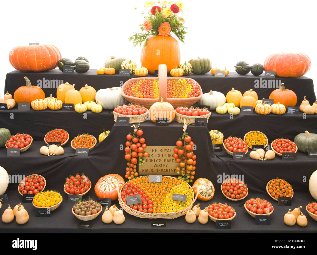 Country fair prize vegetables hi-res stock photography and images - Alamy