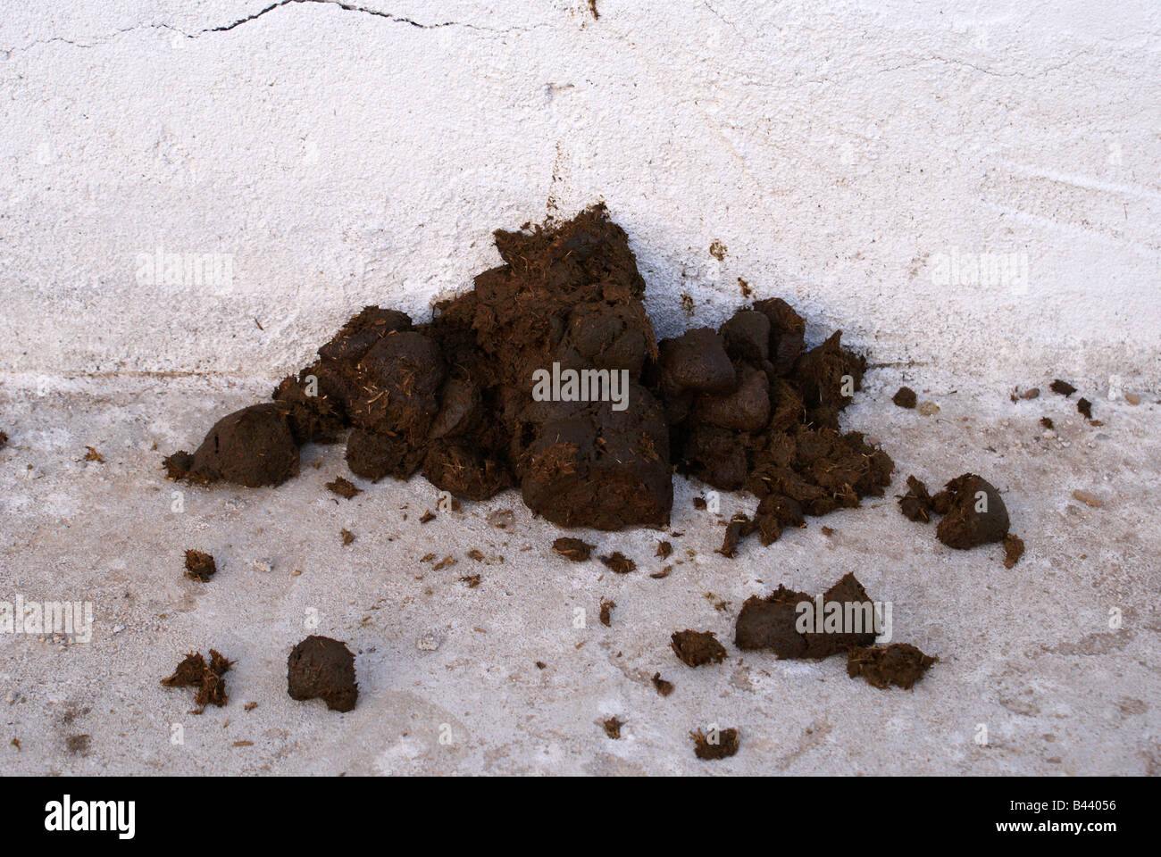 Manure pile hi-res stock photography and images - Alamy