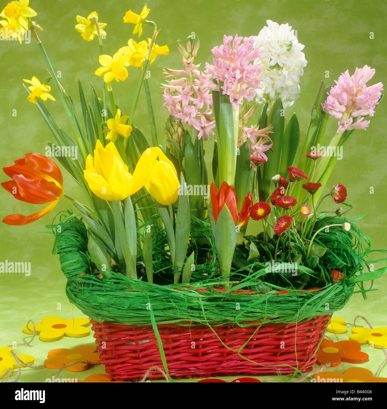 Basket liliaceae hi-res stock photography and images - Alamy