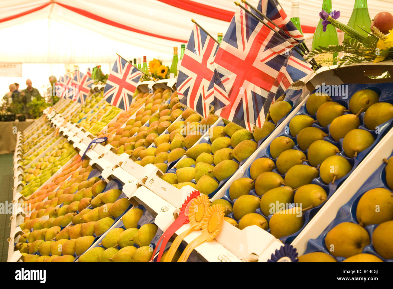 Winning vegetables hi-res stock photography and images - Alamy