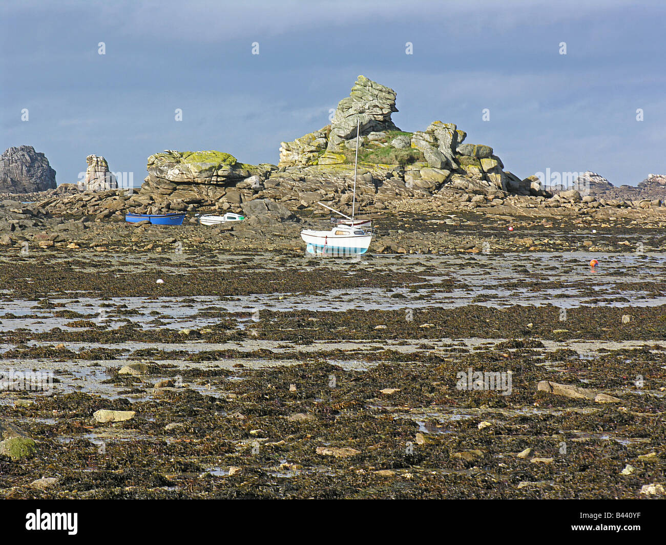 Santec hi-res stock photography and images - Alamy