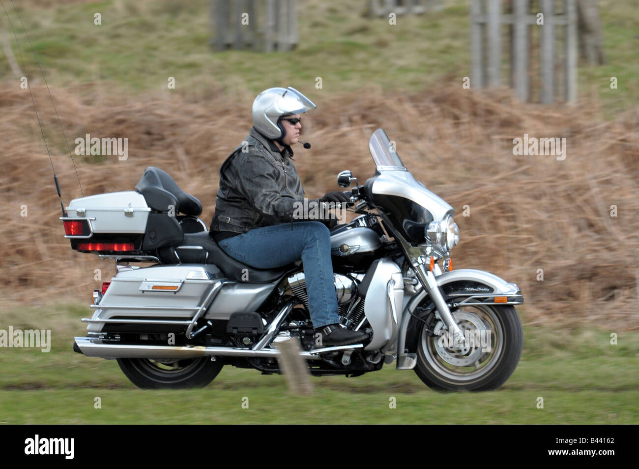 Riding a harley davidson hi-res stock photography and images - Alamy