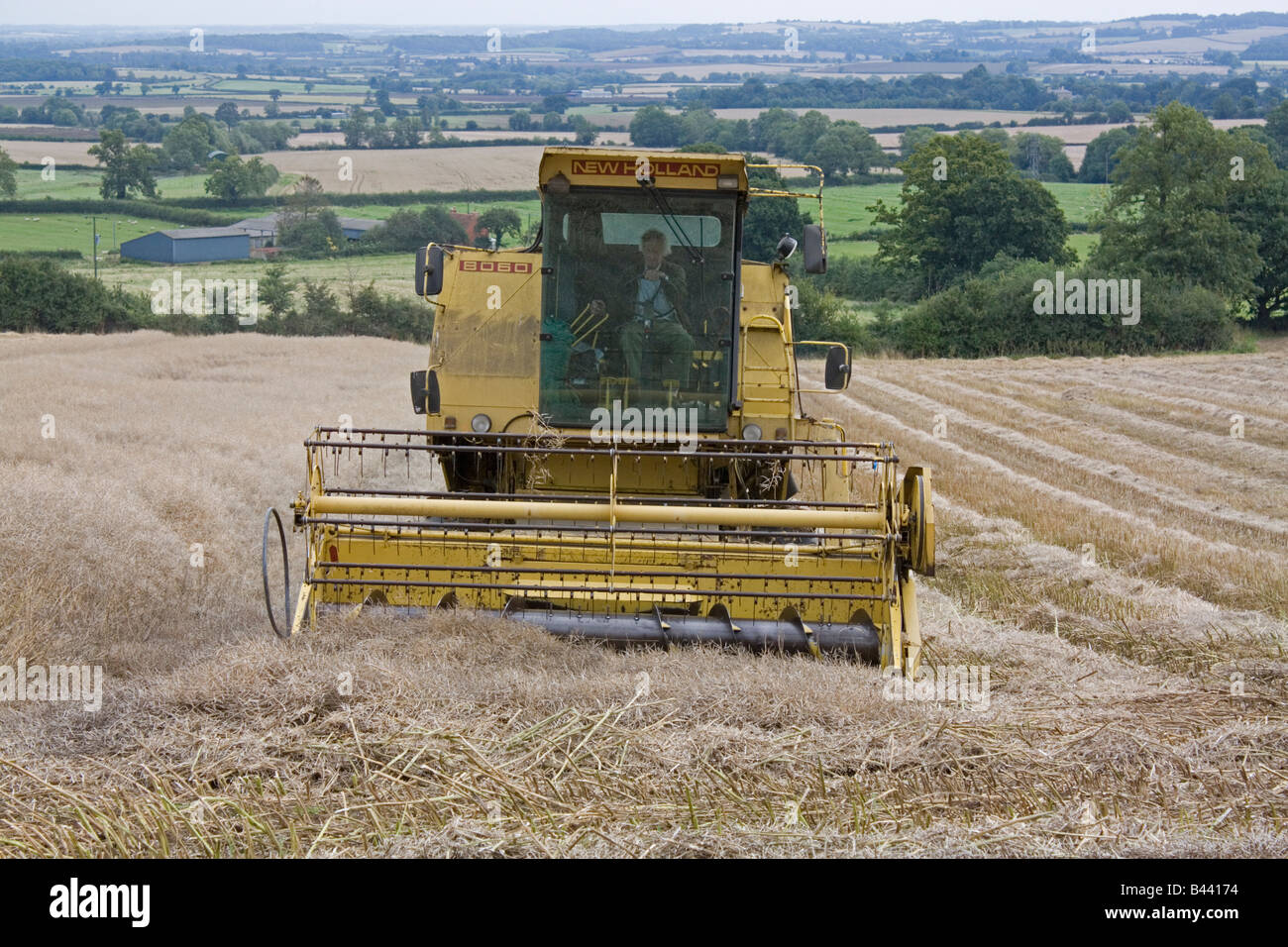 Old New Holland 8060 Combine combining Rape field in the Cotswolds ...