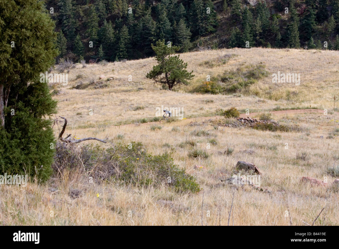 Mountain bikers ride the rugged trails of White Ranch Park near Golden ...