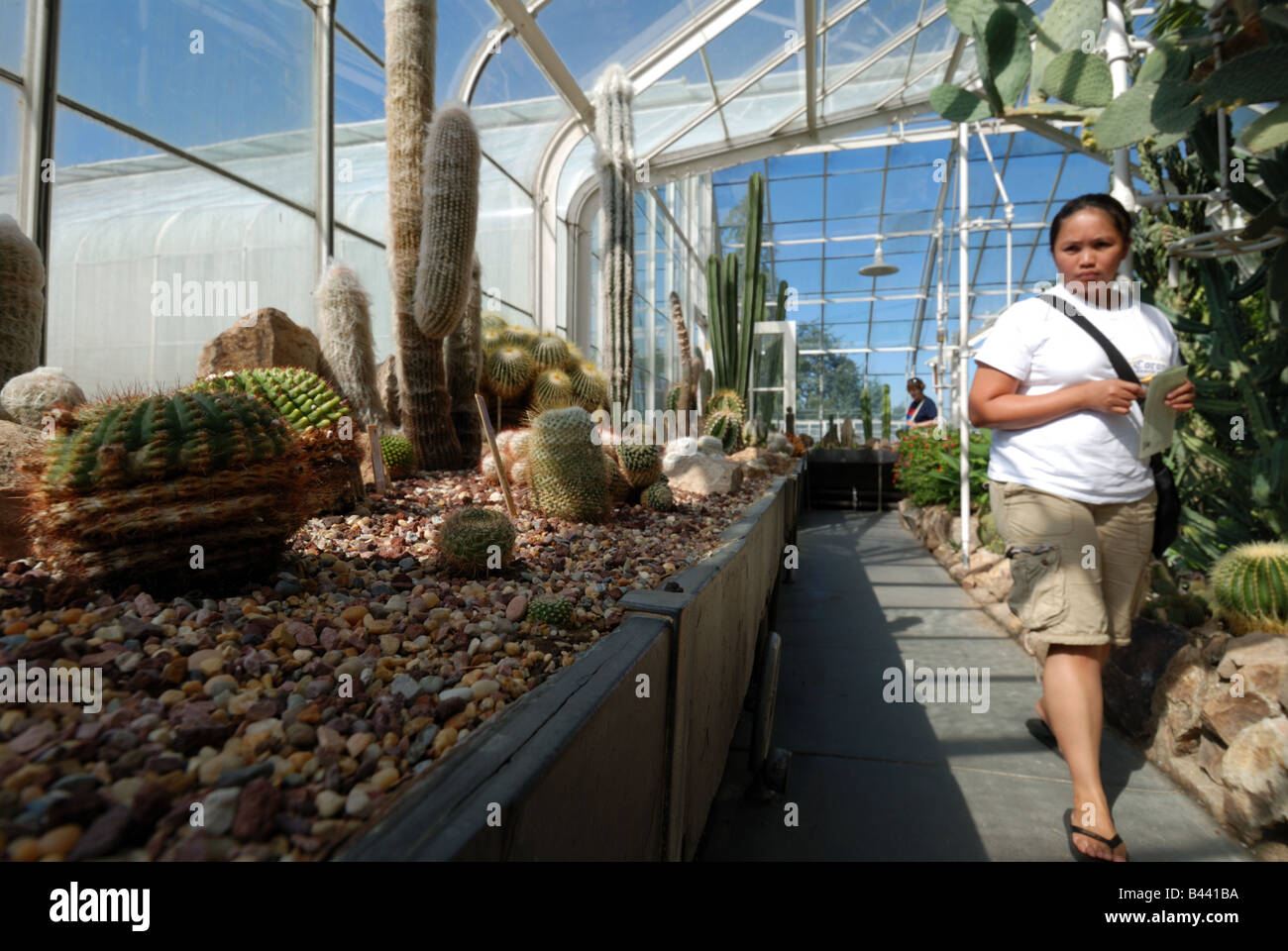 The succulent plant collection in Seattle's Volunteer Park conservatory ...