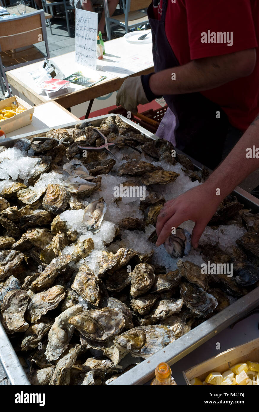 Fresh Scottish oysters on a tray of ice at a food fair, Brighton ...