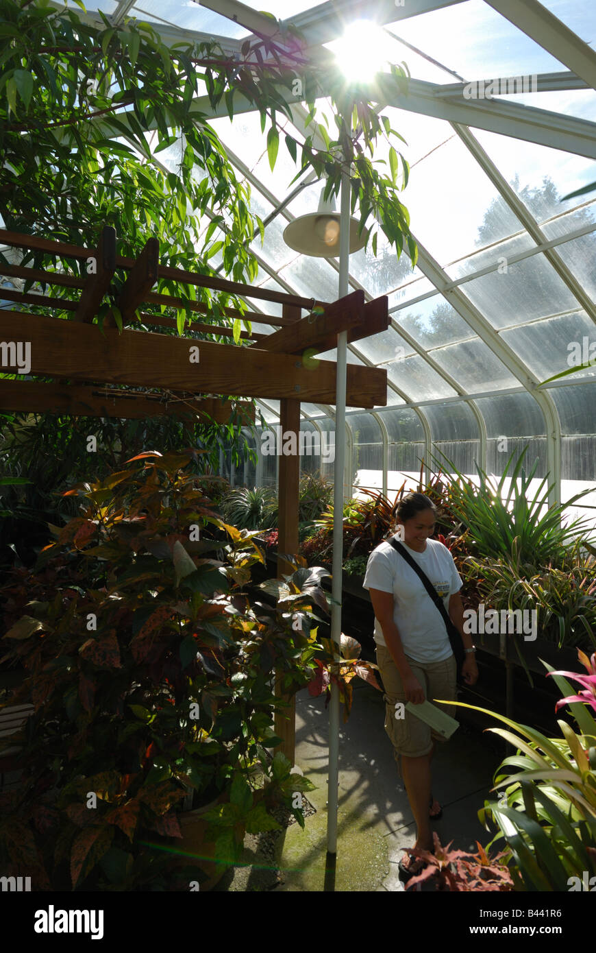 The conservatory in Seattle's Volunteer Park Stock Photo - Alamy