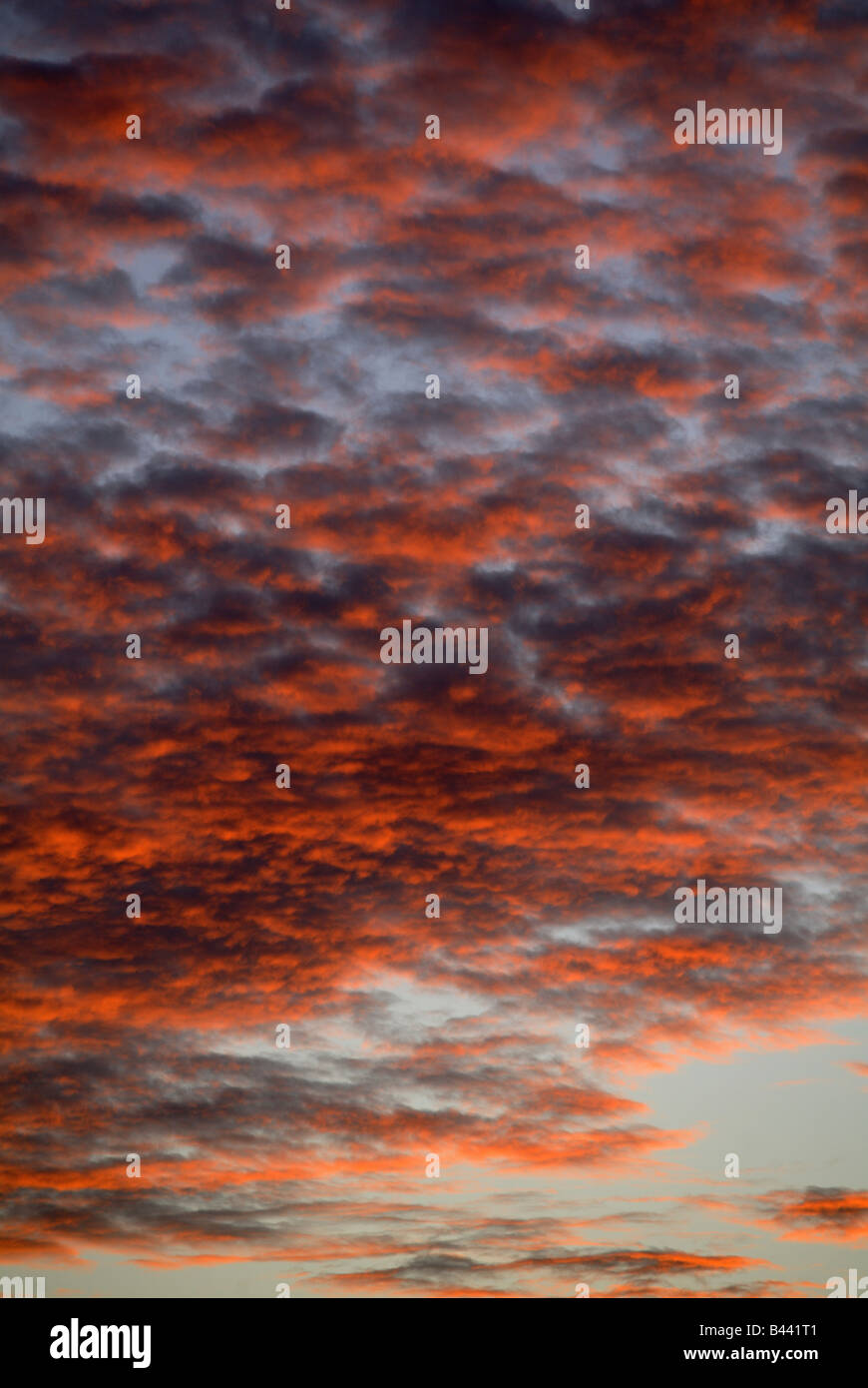 Red clouds at sunset Stock Photo - Alamy