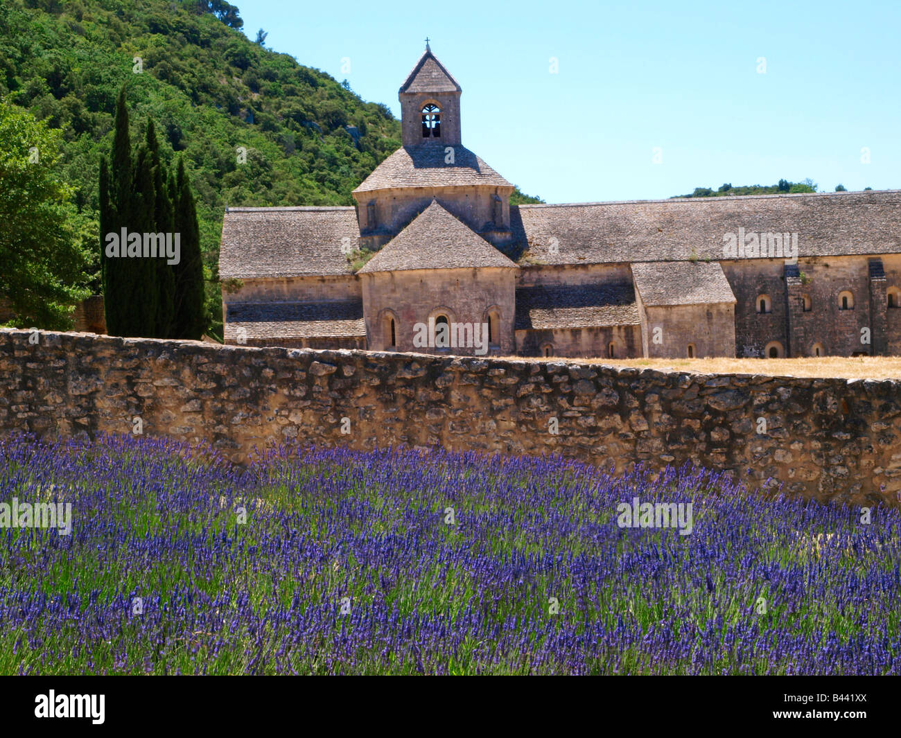 Senanque monastery hi-res stock photography and images - Alamy