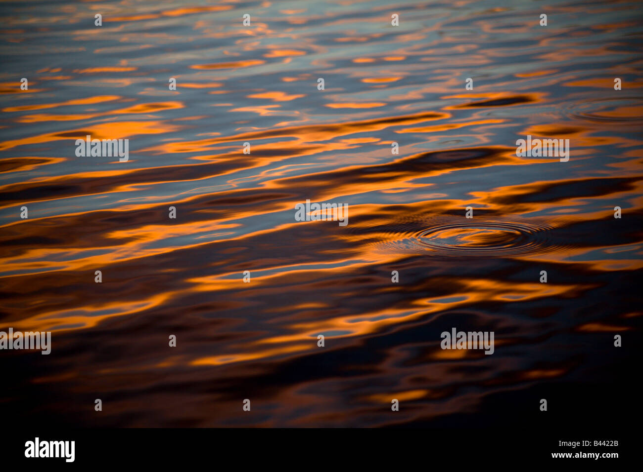 Reflection of sunset in lake Stock Photo - Alamy