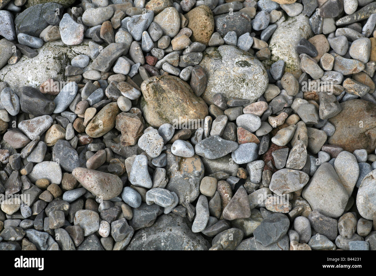 Pebbles all shapes and sizes Stock Photo - Alamy