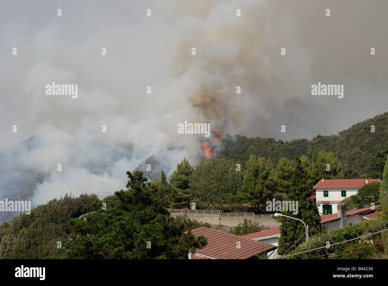 A big fire in the wood burning close to a civil house. A wide cloud of ...