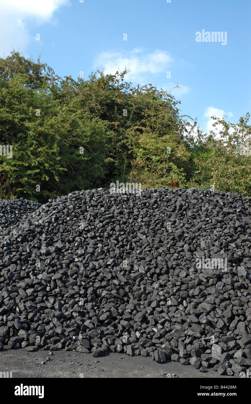 Coal store hi-res stock photography and images - Alamy