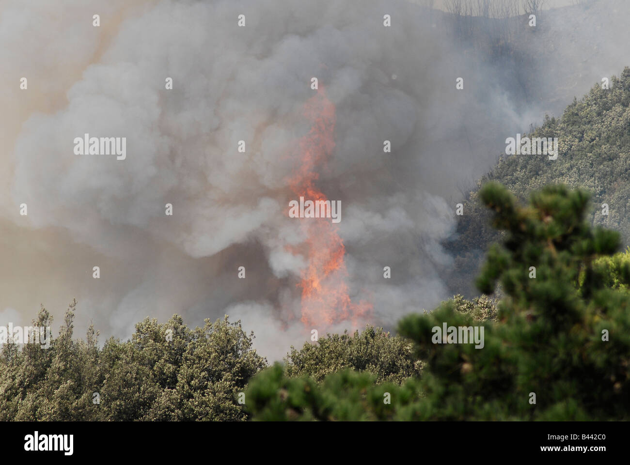 A very big fire is burning over a hill, which is completely surrounded ...
