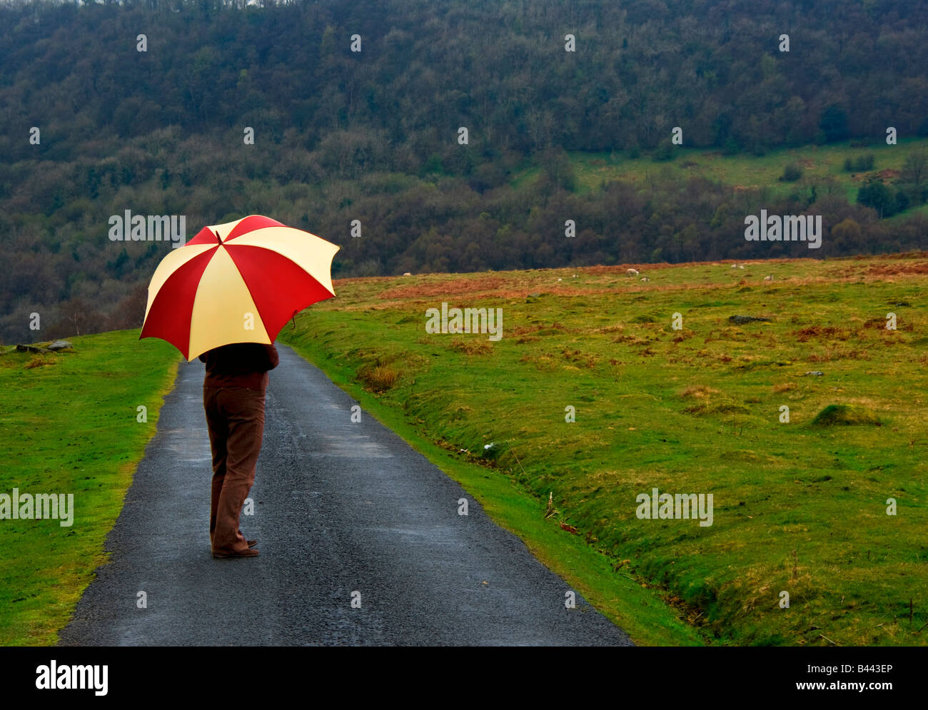 Person walking in the rain, Yorkshire, England Stock Photo - Alamy