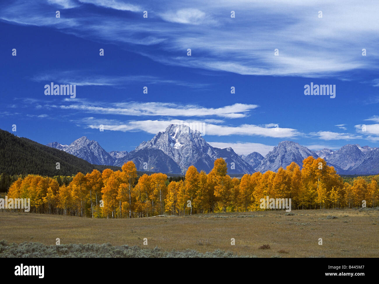 Fall colors in Grand Teton National Park near Jackson Wyoming Stock ...