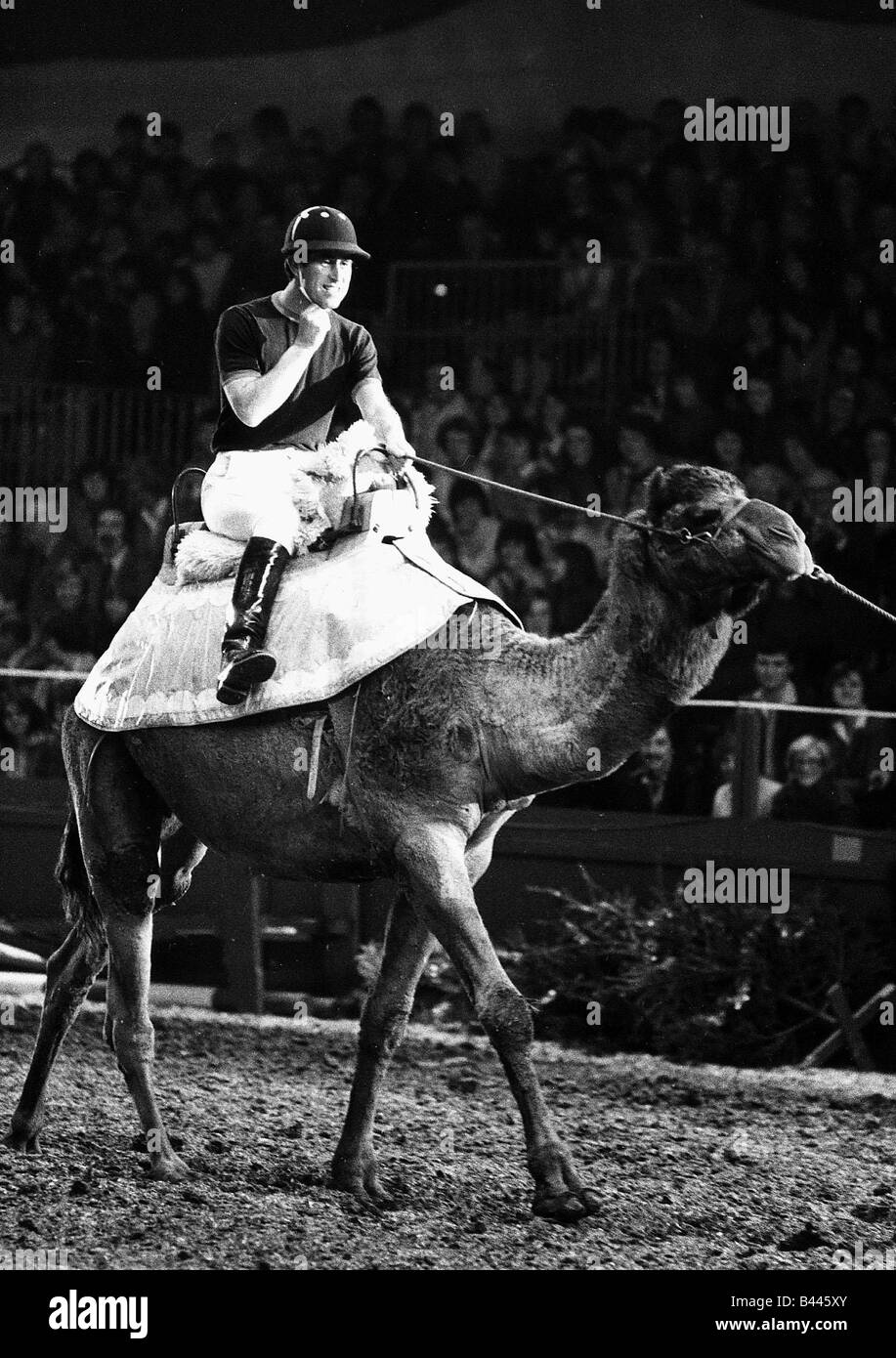 Camel riding humour hi-res stock photography and images - Alamy