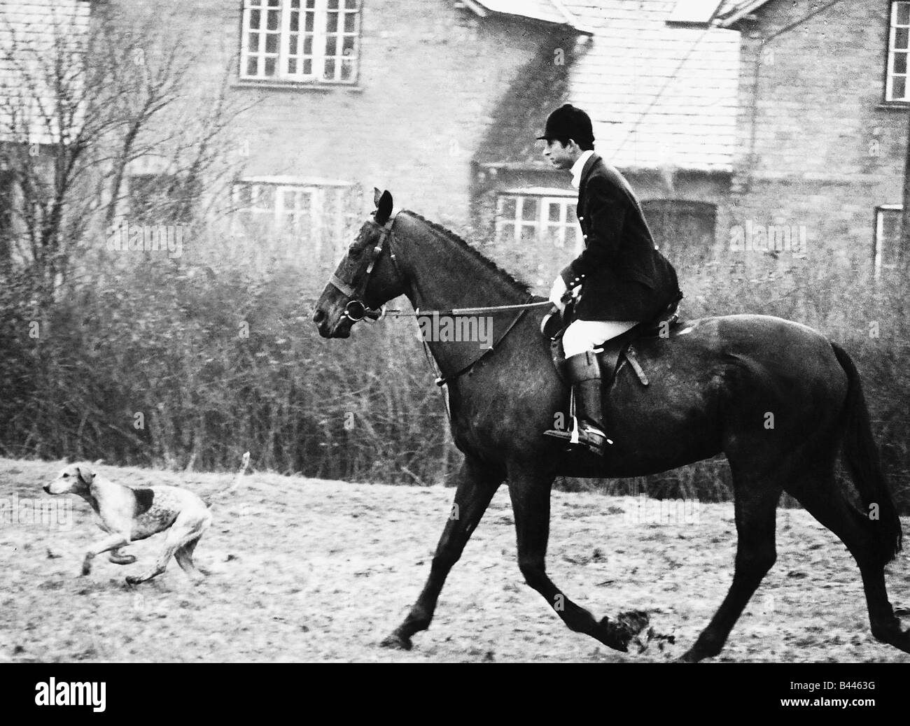 Prince Charles Prince Of Wales going hunting on his horse with his dog ...