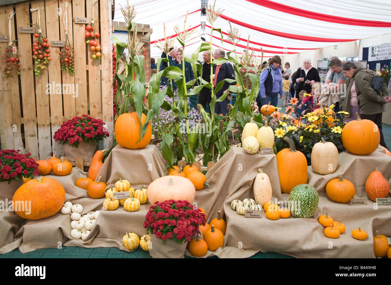 Award winning display hi-res stock photography and images - Alamy