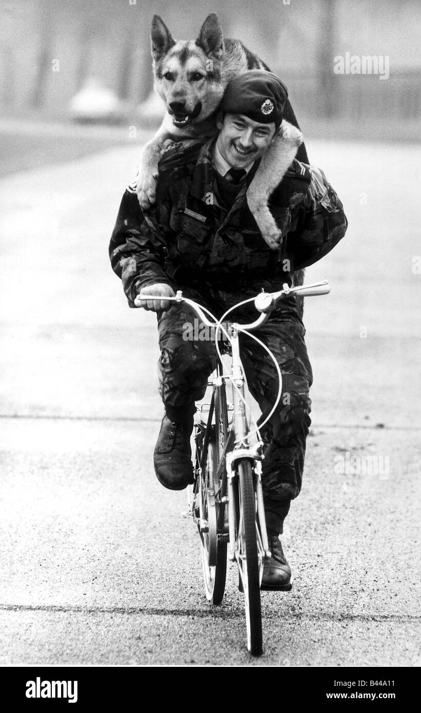 Raf dog hi-res stock photography and images - Alamy