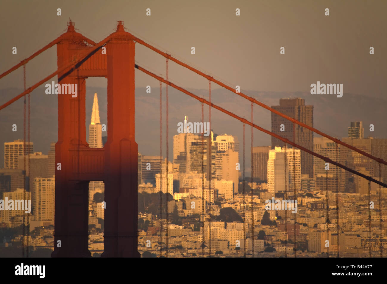 Transamerican building hi-res stock photography and images - Alamy
