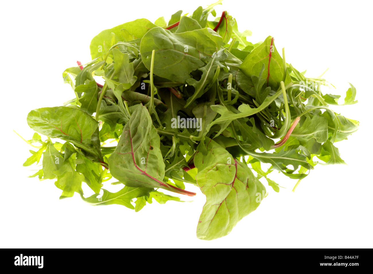 Rocket Salad Leaves Stock Photo - Alamy