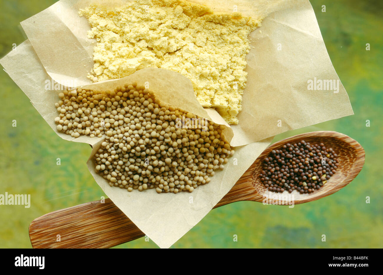 Powdered mustard and mustard grains Stock Photo - Alamy