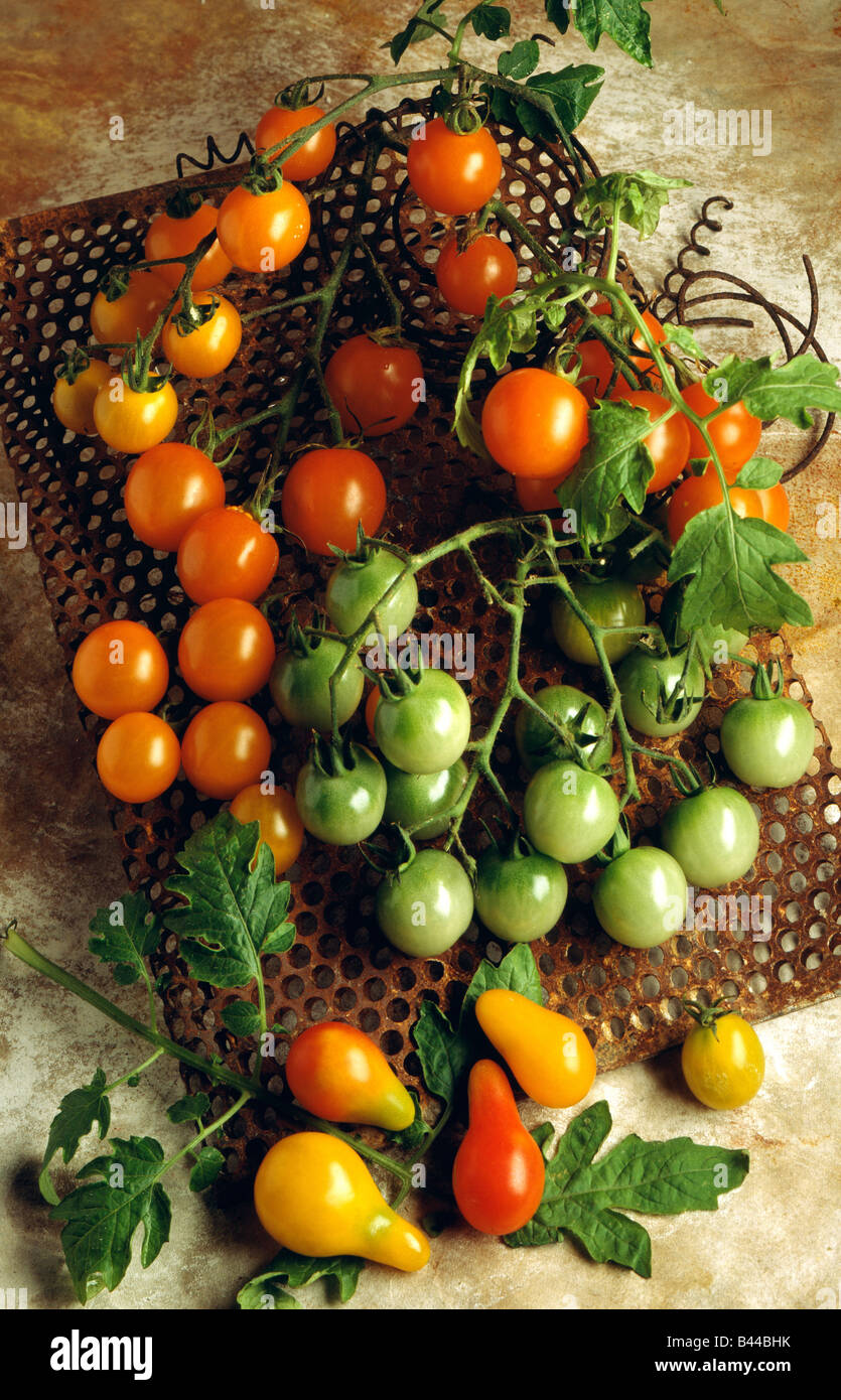 Red and green tiny tomatoes Stock Photo - Alamy