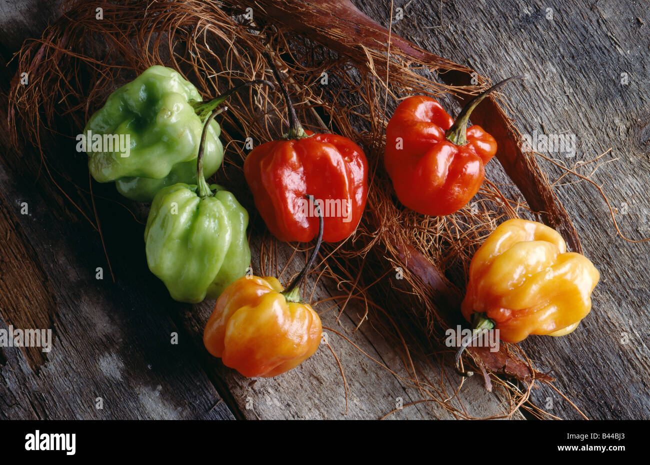 West Indian peppers Stock Photo - Alamy