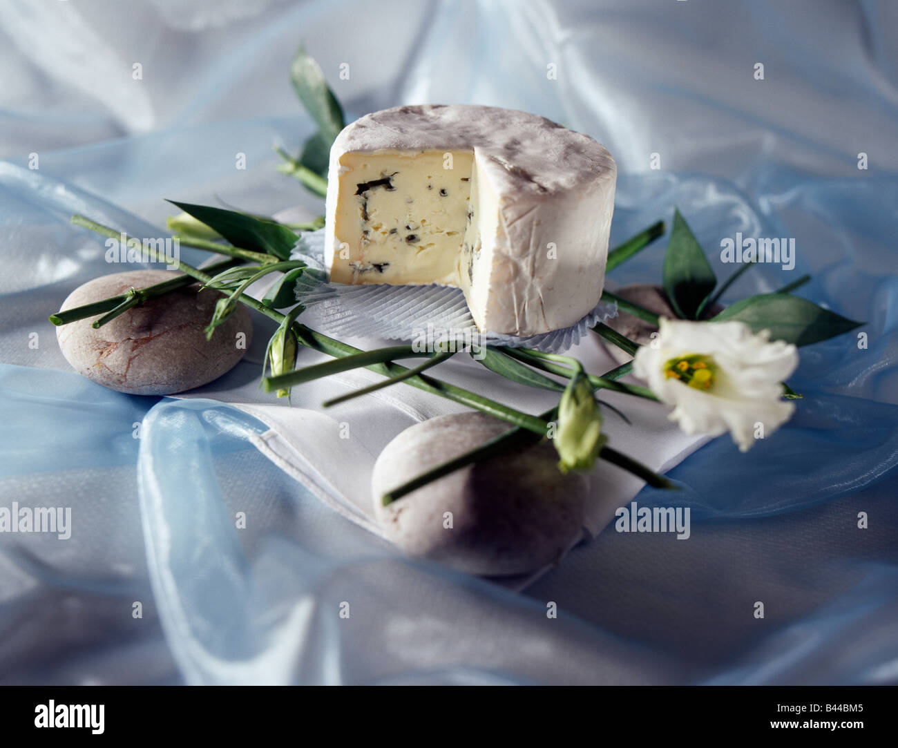 Bleu de Bresse cheese Stock Photo - Alamy
